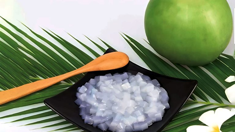 What Is Nata De Coco?