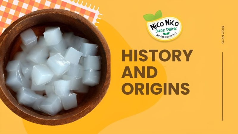 Nata De Coco Meaning ? What Is Nata De Coco?
