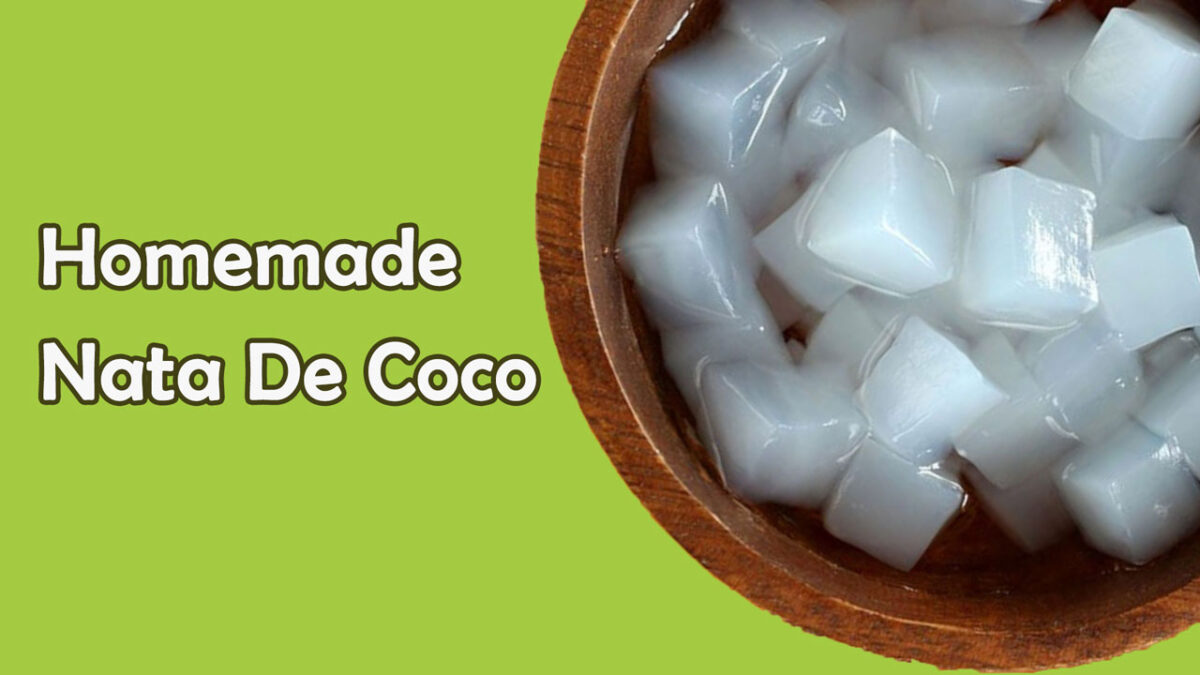 How Is Homemade Nata De Coco? How To Make Nata De Coco At Home