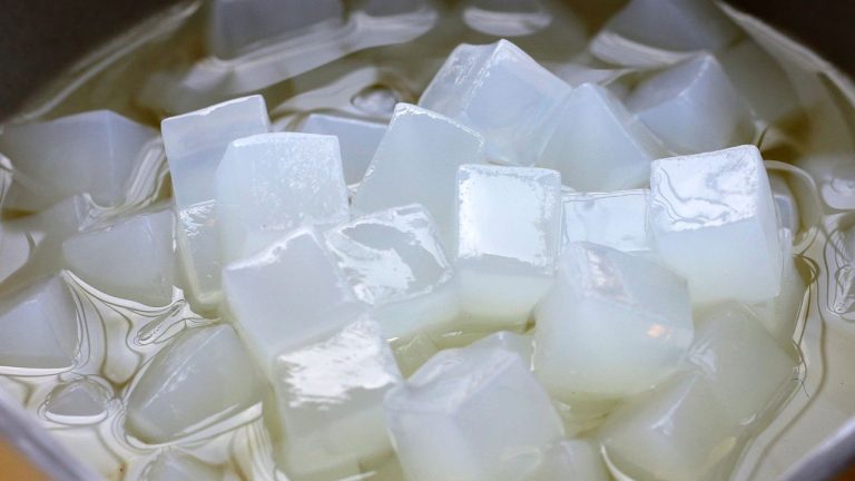 How Is Homemade Nata De Coco? How To Make Nata De Coco At Home