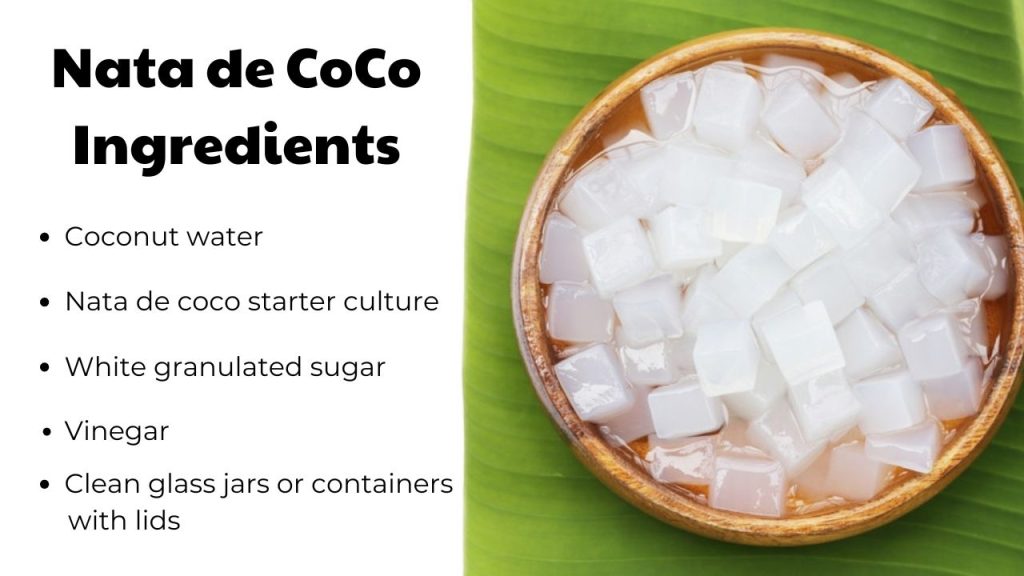 What Is Nata de Coco Jelly And How to Make it