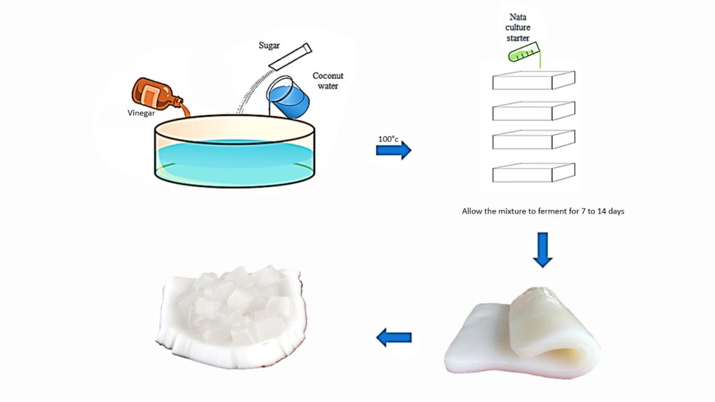 What Is Nata de Coco Jelly And How to Make it