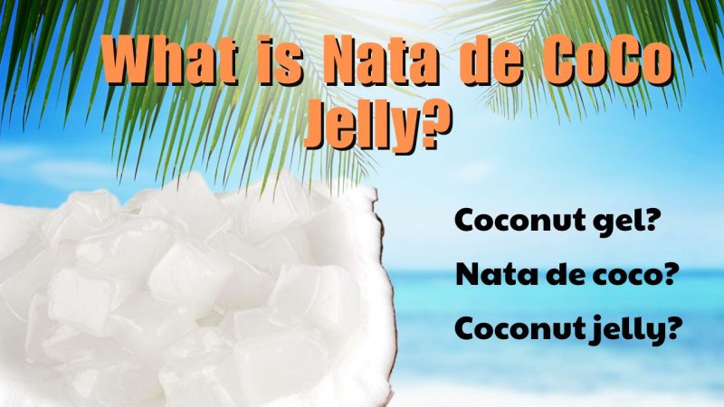 What Is Nata de Coco Jelly And How to Make it