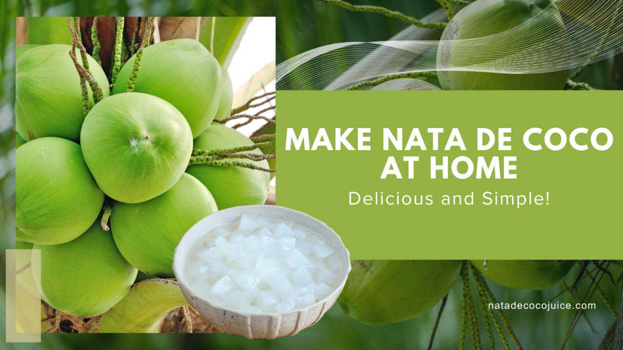 How To Make Nata De Coco From Coconut Water At Home