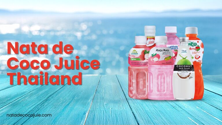 Nata de Coco Juice Thailand: Top Nata De Coco Brand In Thailand